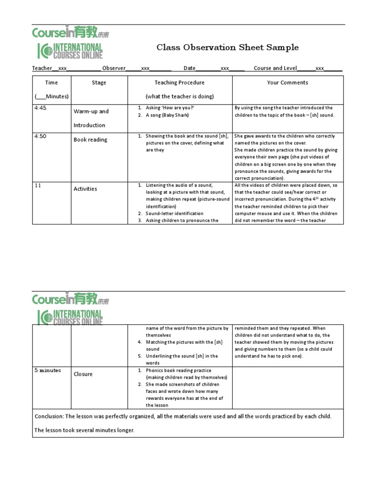 Class Observation Sheet Sample | PDF