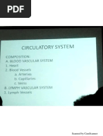 Insect Collection Labeling Guide | PDF | Typefaces | Insects