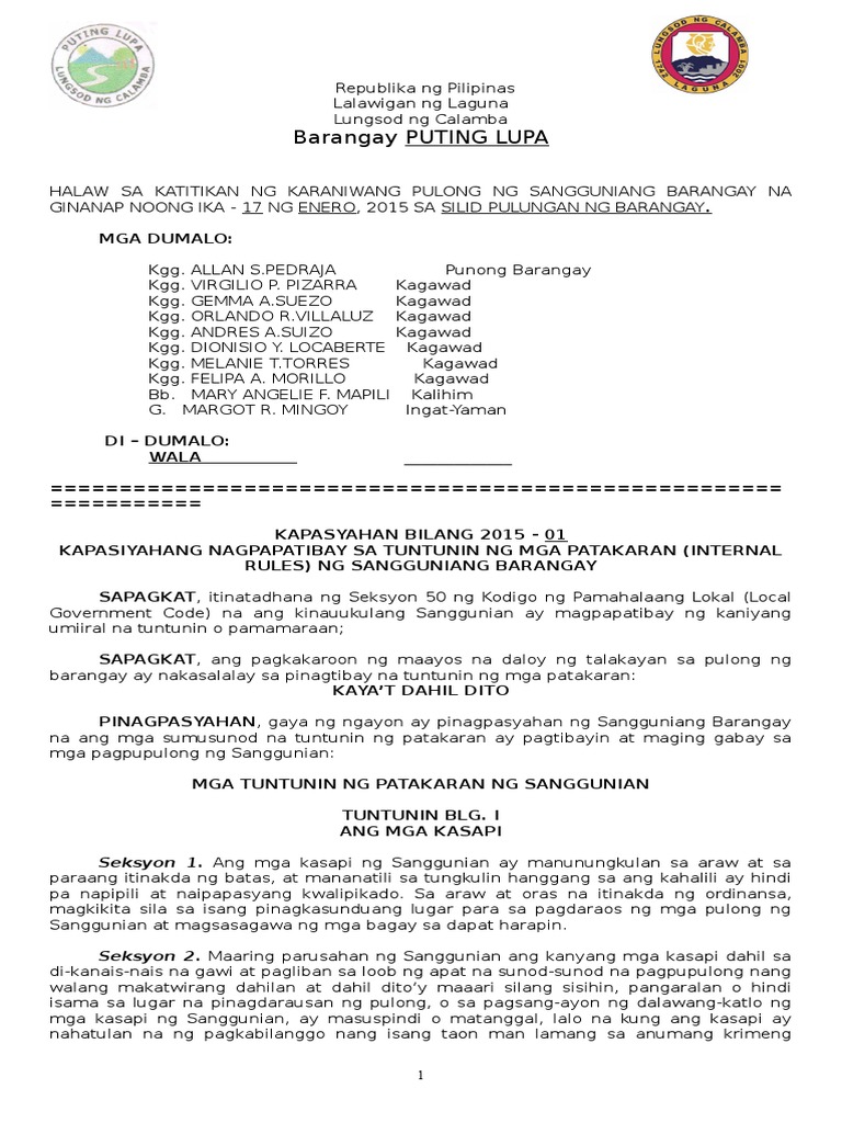 SBarangay Internal Rules Tagalog | PDF