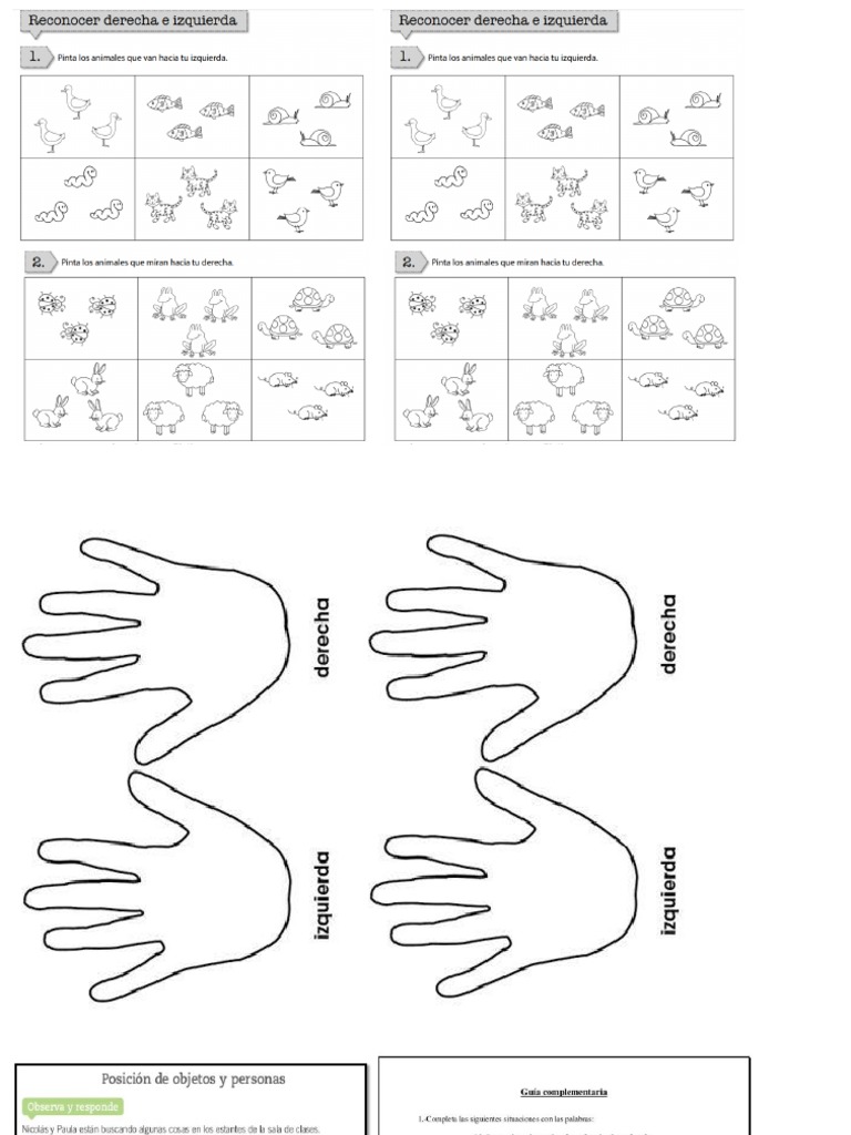 Representar y Describir La Posición de Objetos y Personas | PDF
