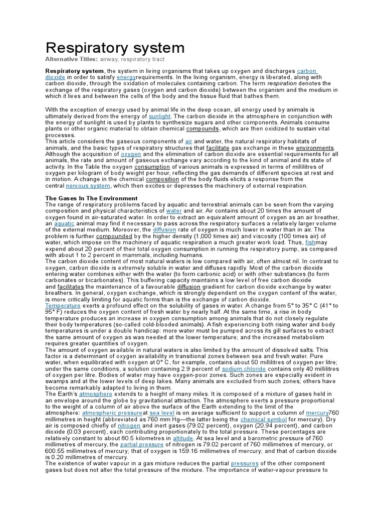 Respiratory System | PDF | Gill | Respiratory System