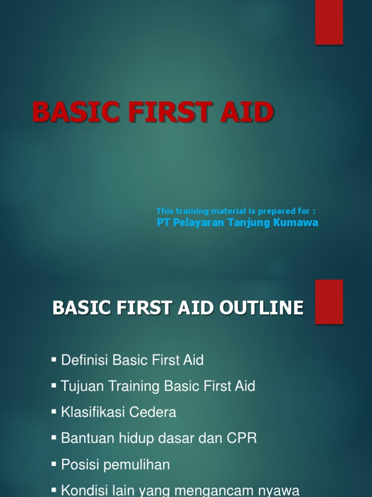 Basic First Aid | PDF