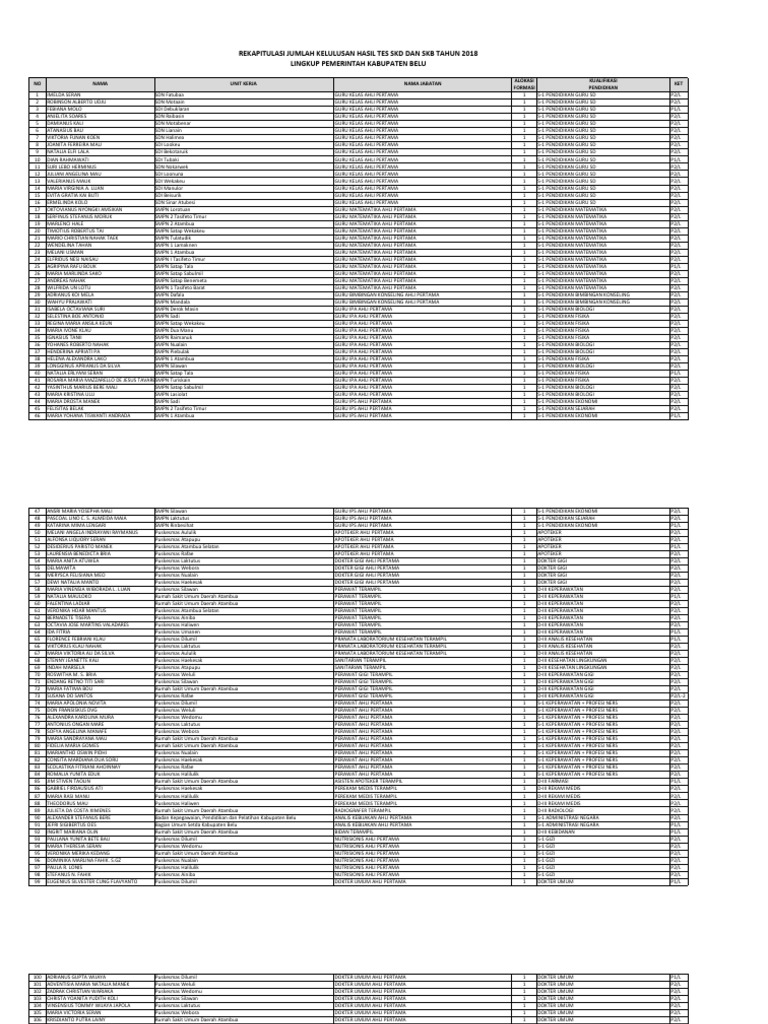 4 Rekap Excel LULUS SKB CPNS | PDF