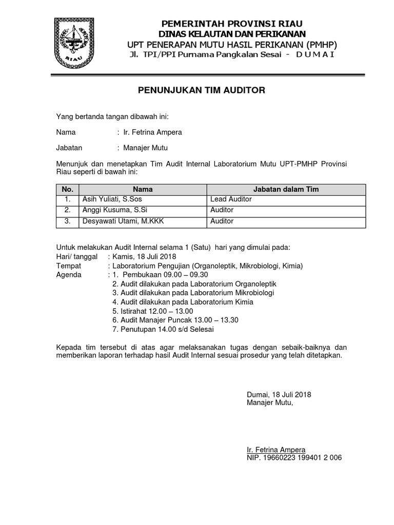 Penunjukan Tim Audit Internal | PDF