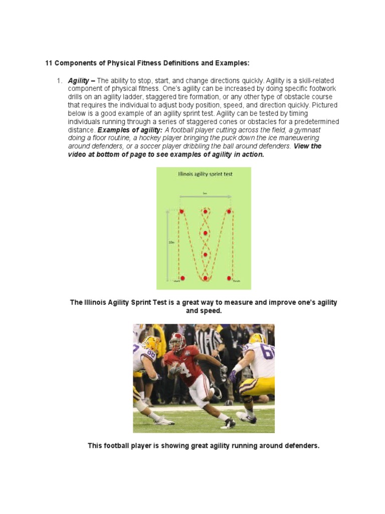 11 Components of Physical Fitness Definitions and Examples | PDF ...