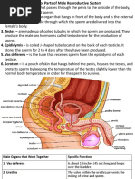 Obstetrics and Gynaecology Instruments | PDF | Vagina | Uterus