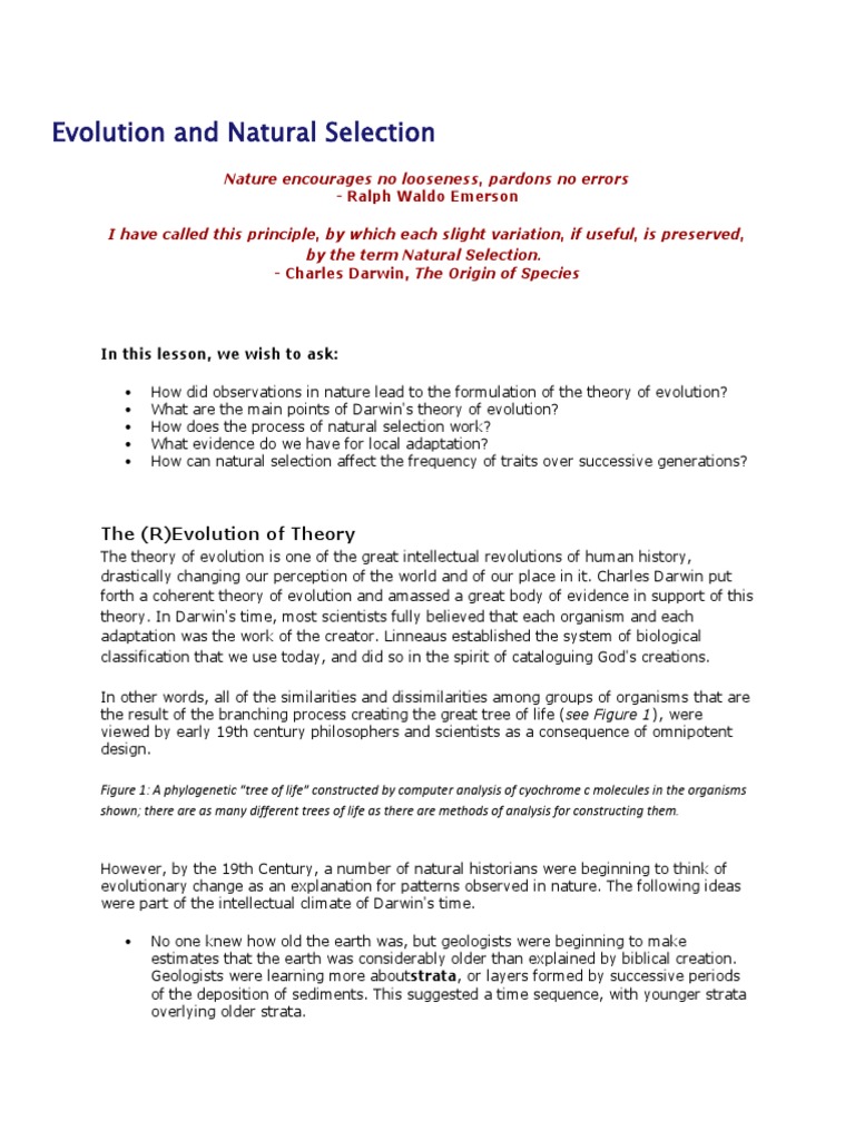Darwin's Evolution and Natural Selection | PDF | Natural Selection ...