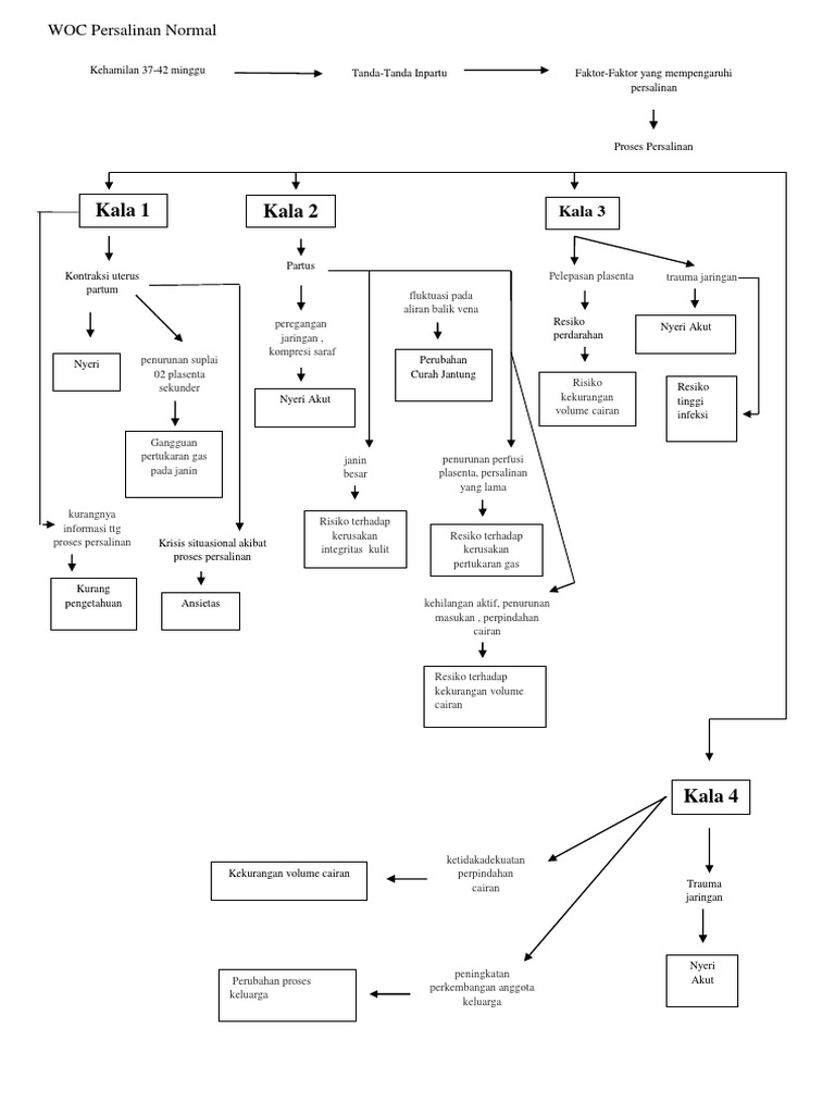 WOC Persalinan Normal | PDF