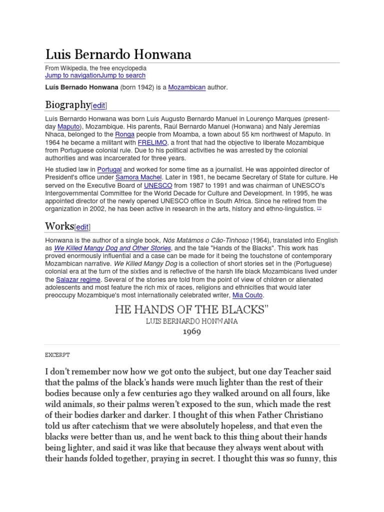 Luis Bernardo Honwana | PDF