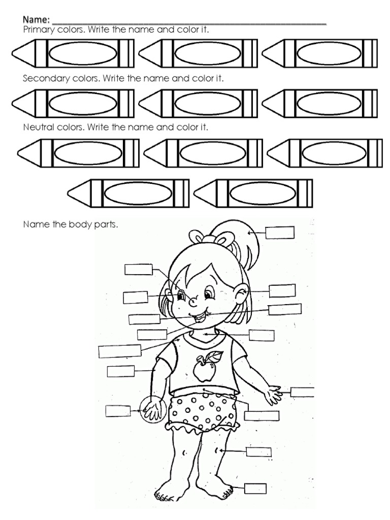 Primary Colors For Pre - K | PDF