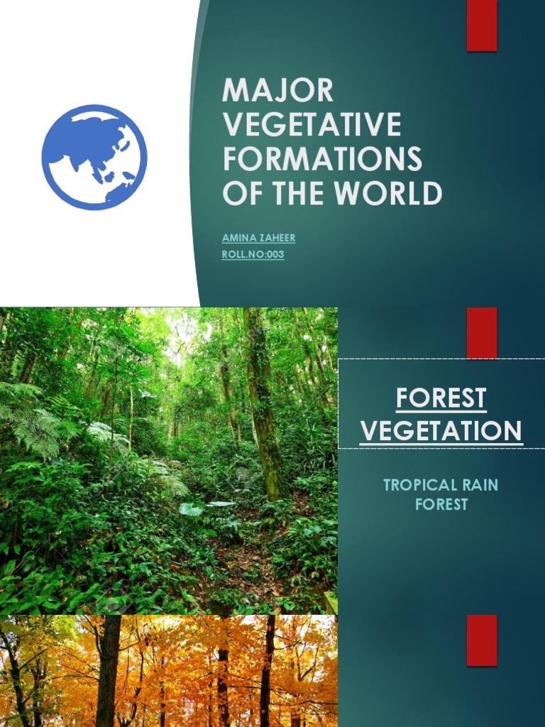 Major Vegetative Formations Worldwide | PDF | Science & Mathematics