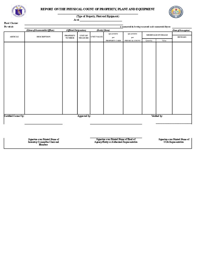 Report On The Physical Count of PPE - NEW | PDF