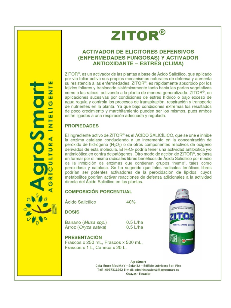 DataSheet ZITOR PDF | PDF