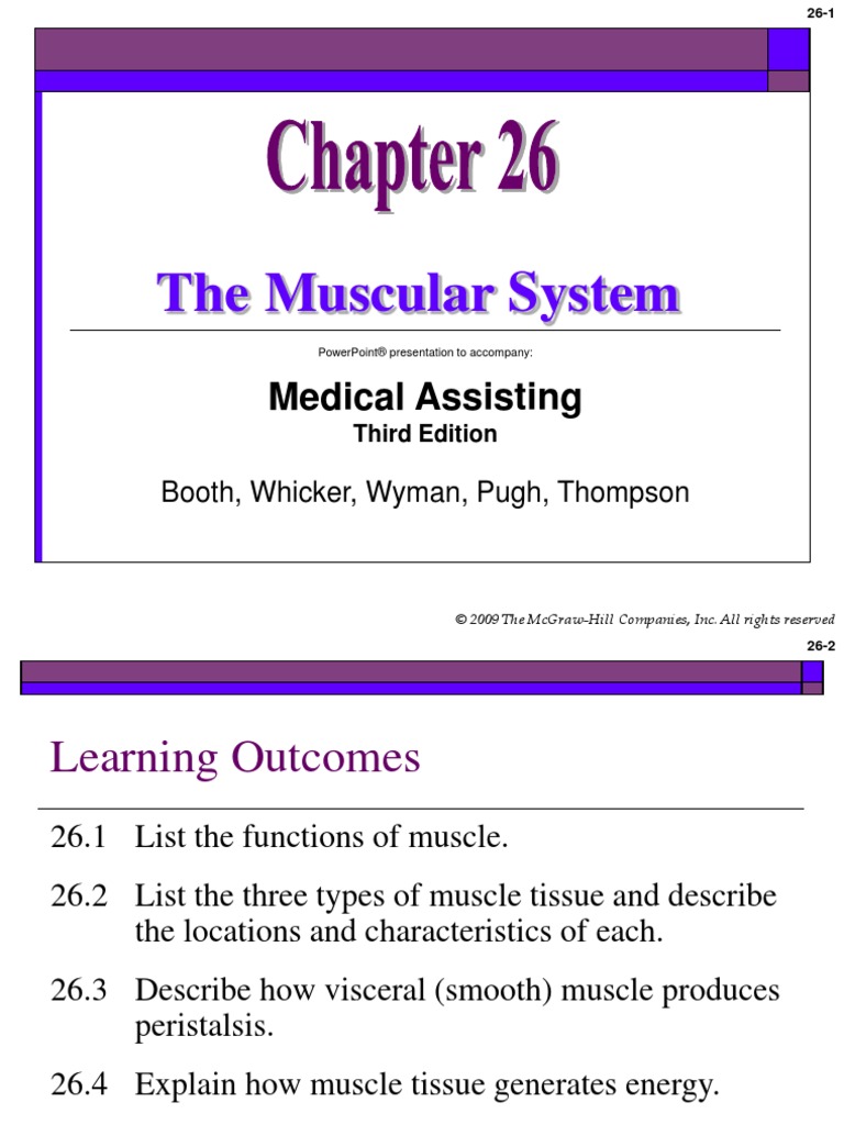 Muscular - System Mcgrawhill | PDF | Anatomical Terms Of Motion | Human Leg