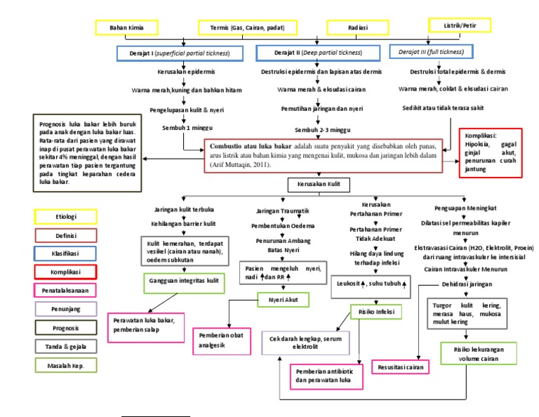Woc Combustio+patof | PDF