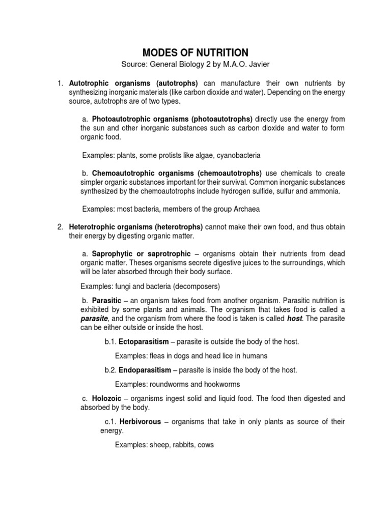 Modes of Nutrition: Understanding How Organisms Obtain Energy Through ...