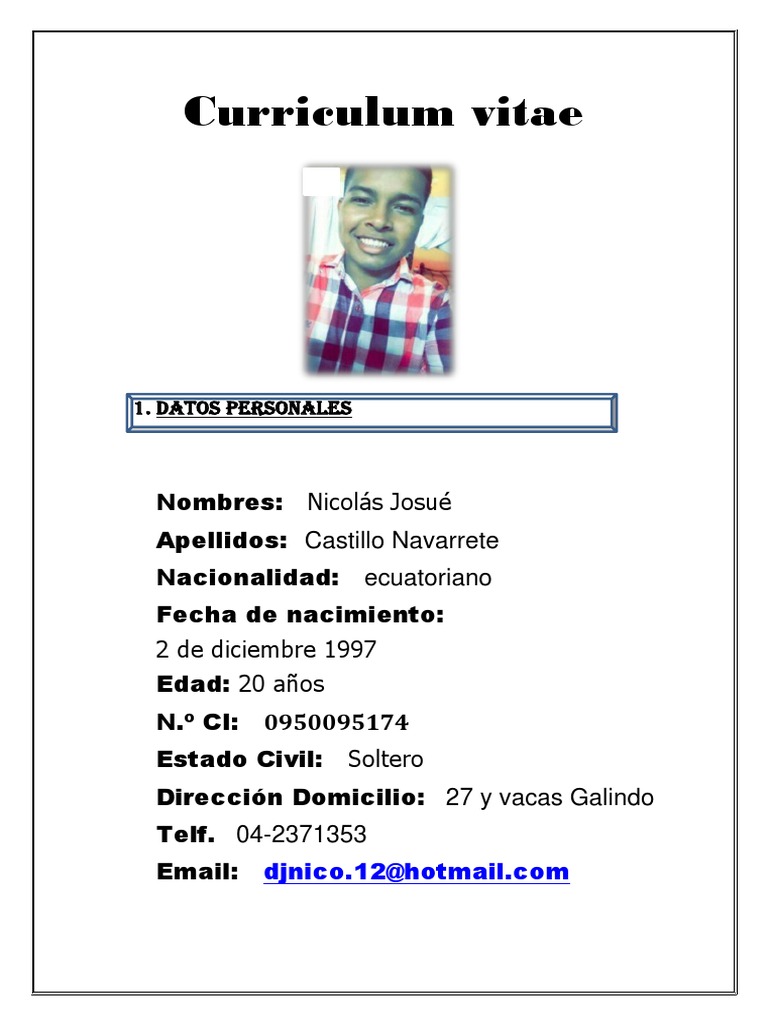 Curriculum Nicolas | PDF