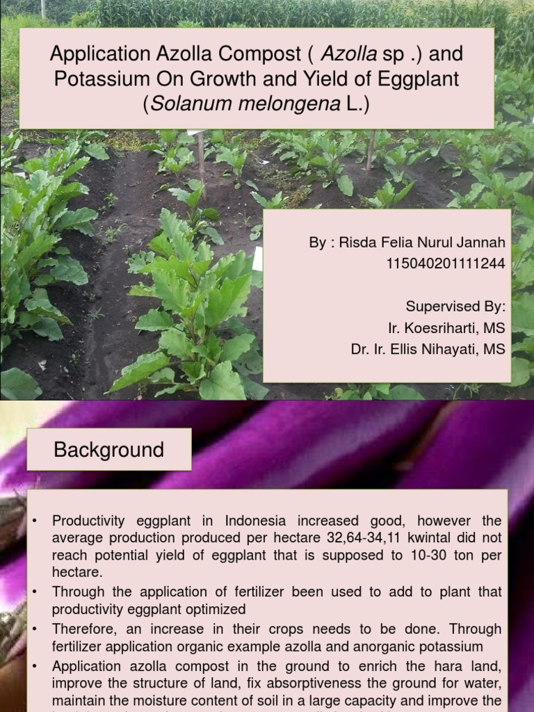 Application Azolla Compost (Azolla SP .) and Potassium On Growth and ...