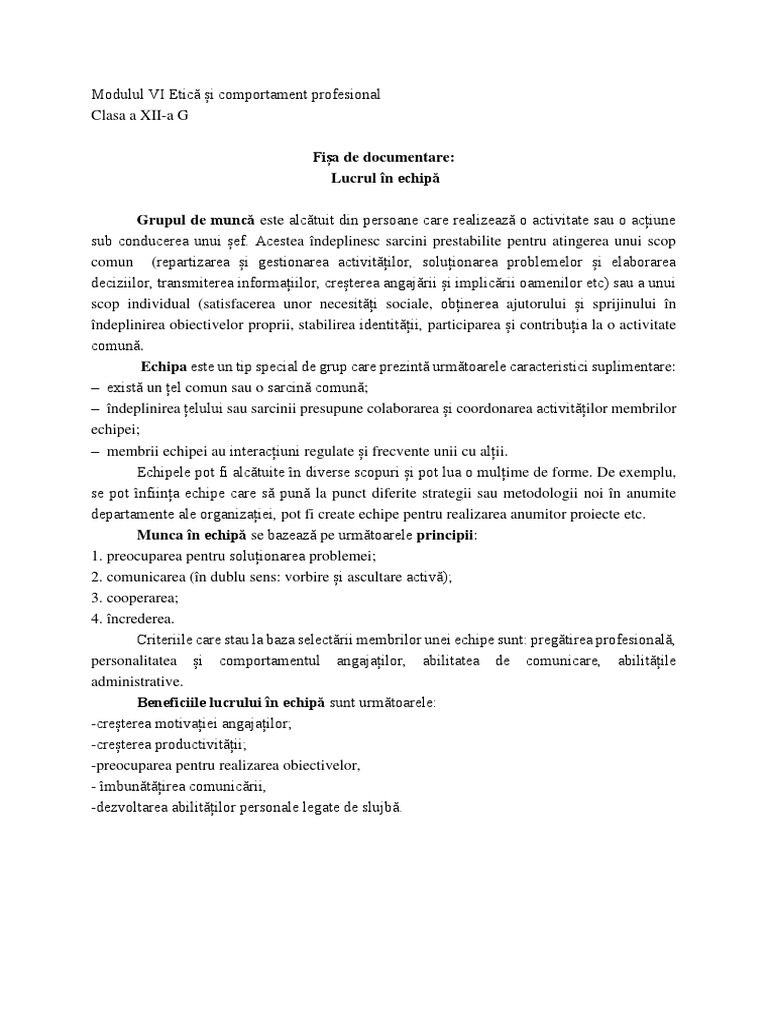 Fisa Documentare Lucrul În Echipă | PDF