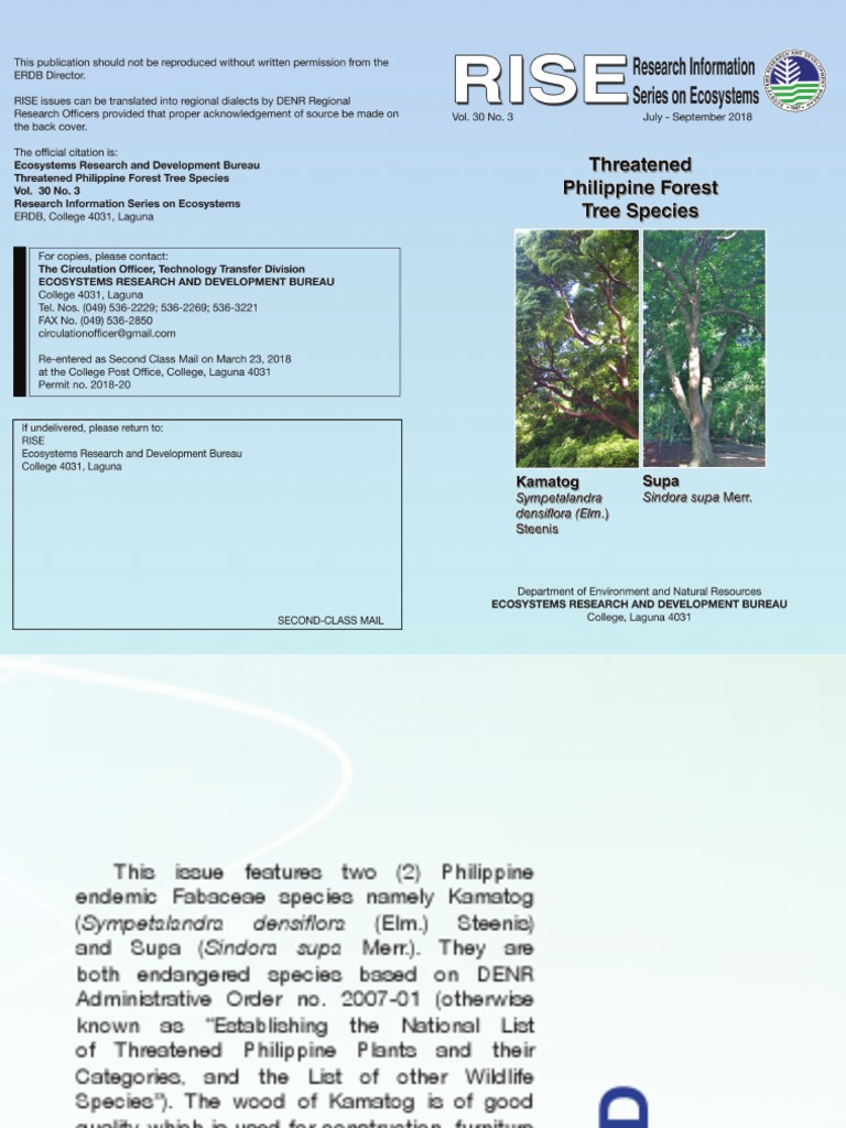 Threatened Philippine Forest Tree Species | PDF | Endangered Species | Leaf
