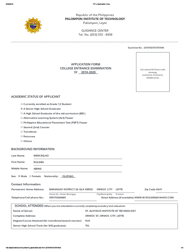 PIT _ Application Form.pdf | University And College Admission | Test ...