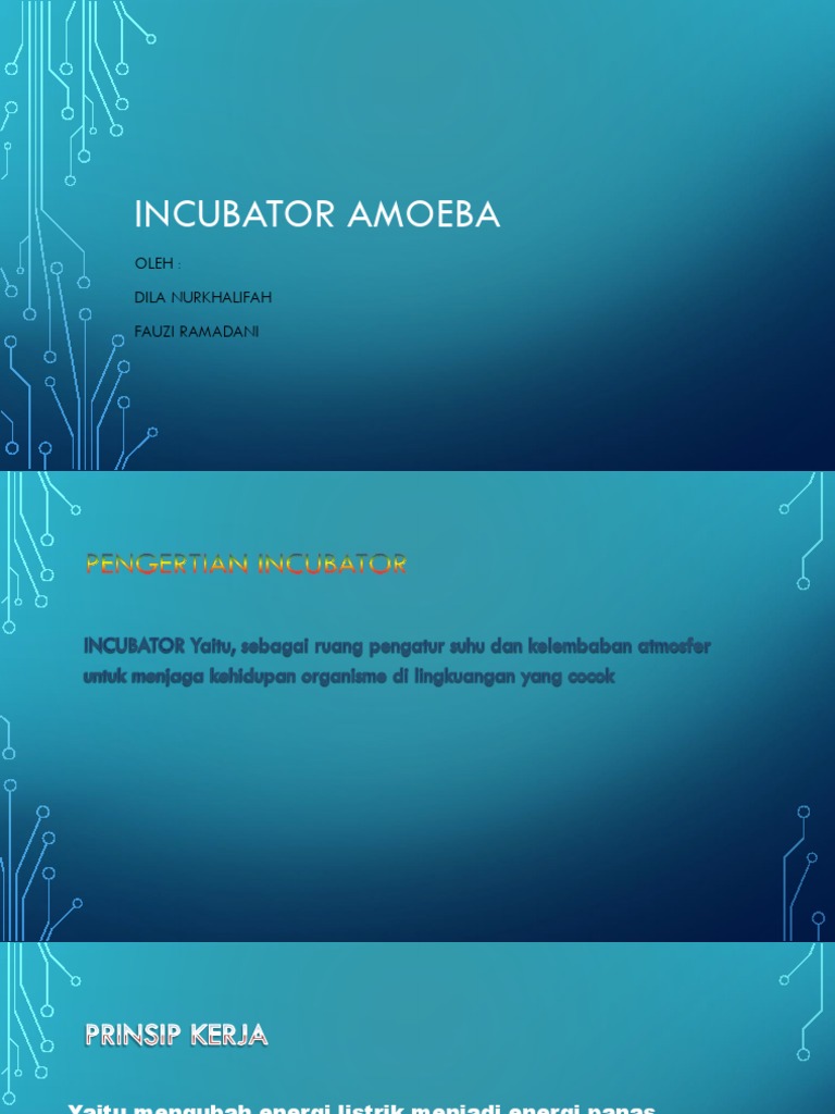 Incubator Amoeba | PDF