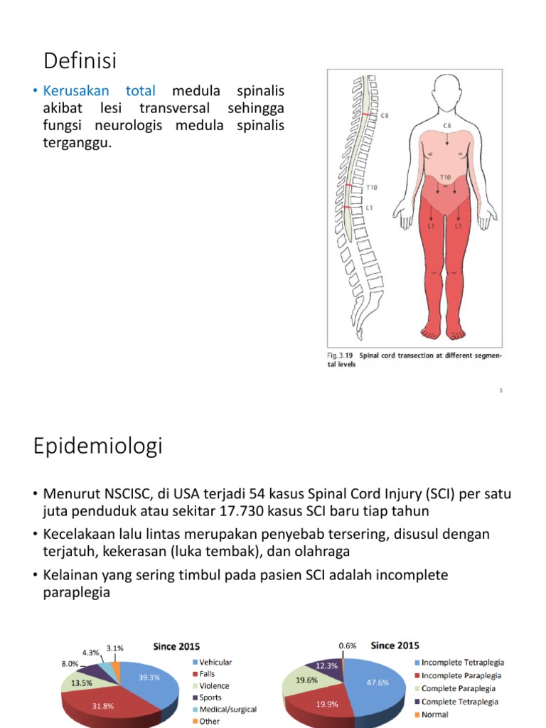 Upload Complete Spinal Transection | PDF