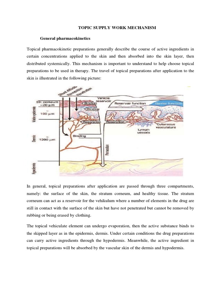 Mekanisme Kerja Sediaan Topikal 1 | PDF | Topical Medication | Skin