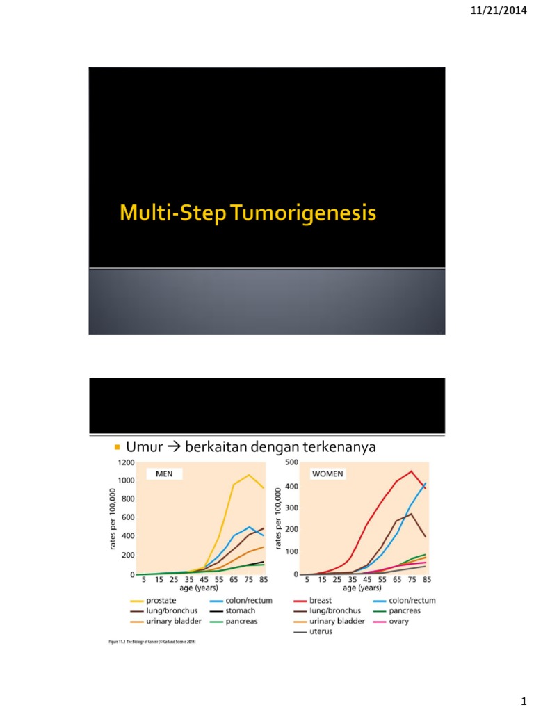 Multi Step Tumorigenesis 14 PDF | PDF