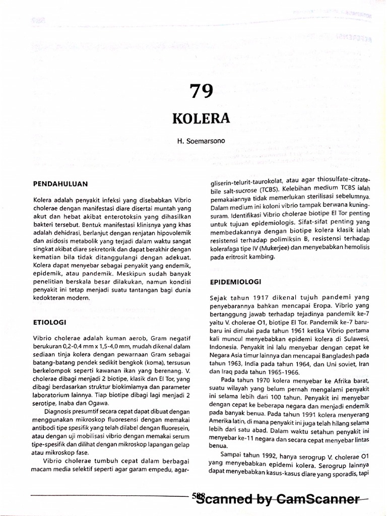 Kolera Berat | PDF