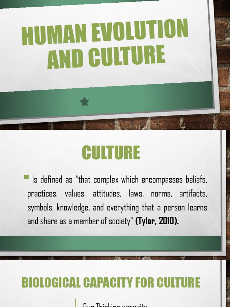 Human Evolution and Culture Final | PDF | Homo | Human