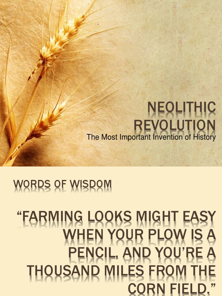 Neolithic Revolution: The Most Important Invention of History | PDF