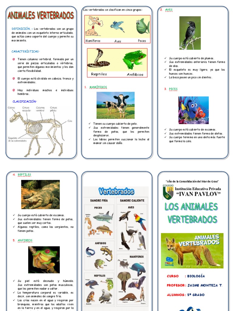 Tríptico sobre Animales Vertebrados | PDF | Vertebrados | Reptil