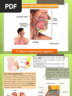 Gradiente Definicion y Gradiente Quimico | PDF | Degradado | Concentración