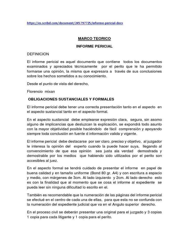 Modelo Informe Pericial | PDF | Testigo experto | Ley Pública