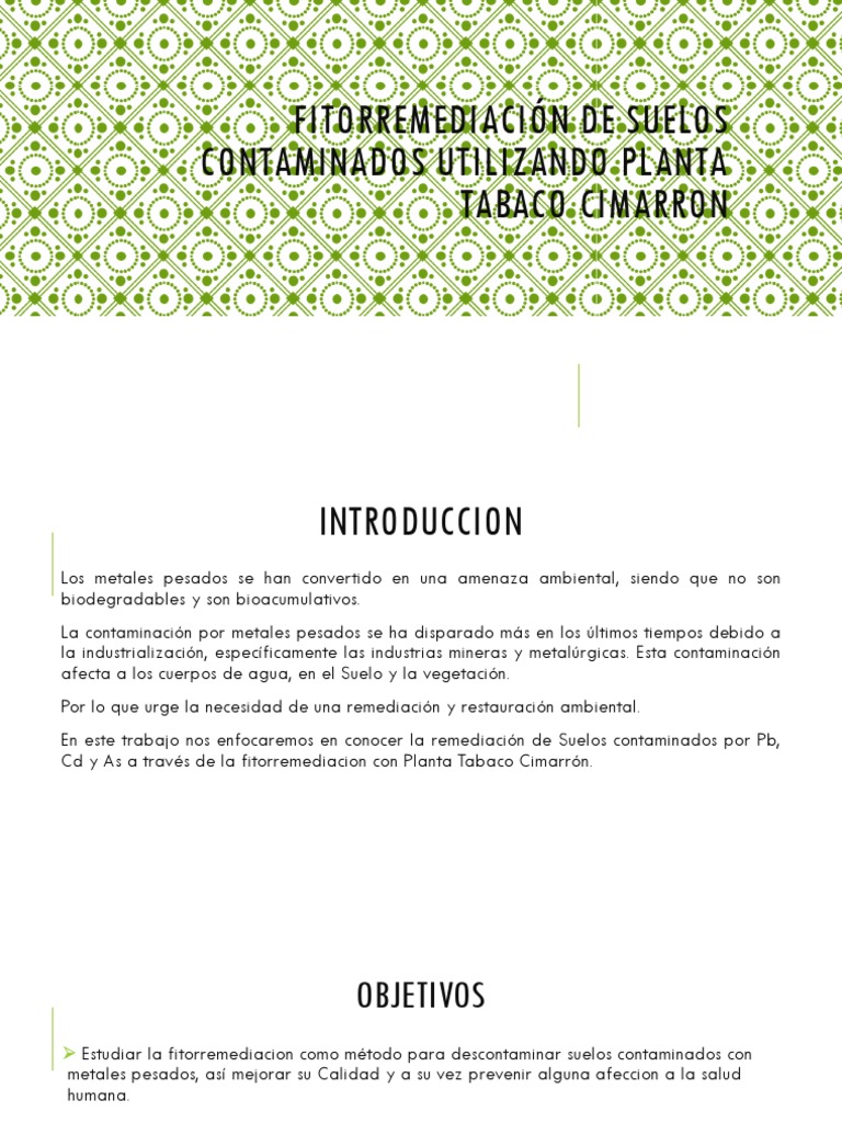 Planta Tabaco Cimarron | PDF | Cadmio | Arsénico