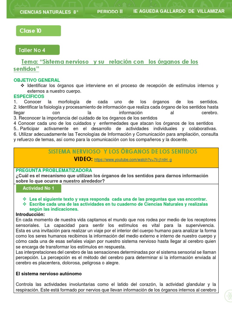Taller 1 LOS ÓRGANOS DE LOS SENTIDOS | PDF | Oído | Ojo humano