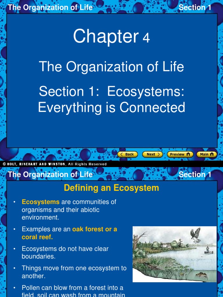 EnvSci CH 4 PPT Organization of Life | PDF | Bacteria | Plants