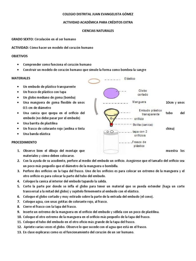Modelo Corazon Humano | PDF | Naturaleza