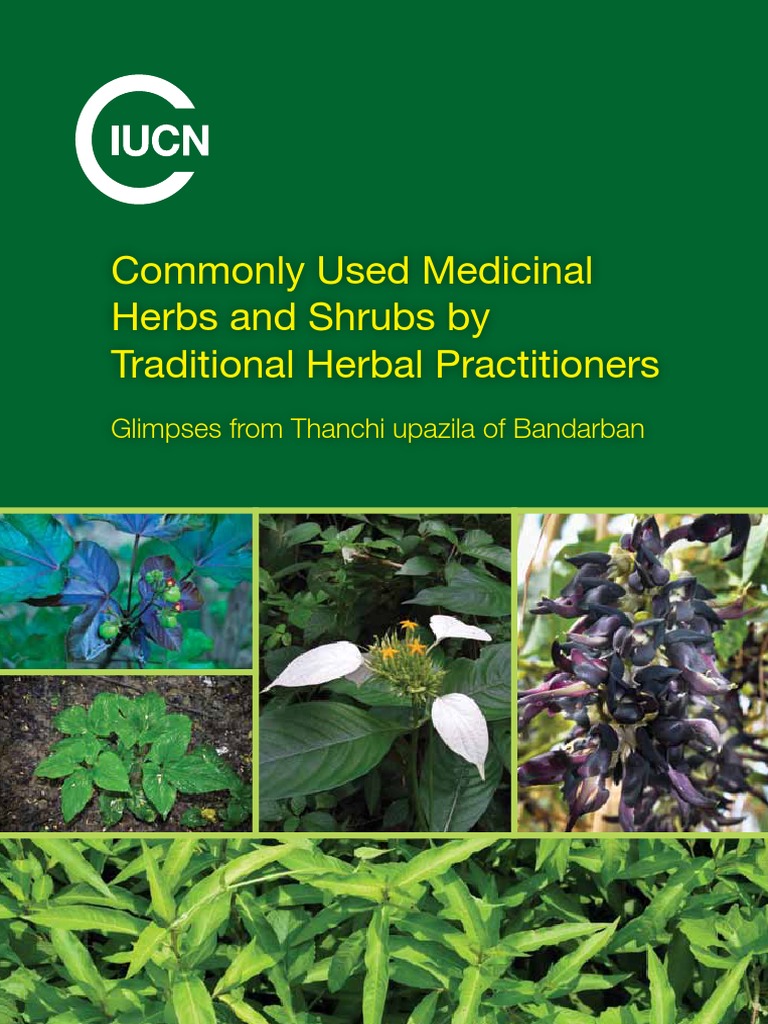 Commonly Used Medicinal Herbs and Shrubs by Traditional - IUCN PDF ...