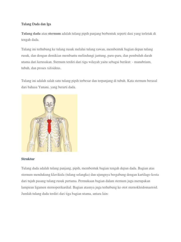 Anatomi dan Struktur Tulang Dada | PDF | Sains & Matematika