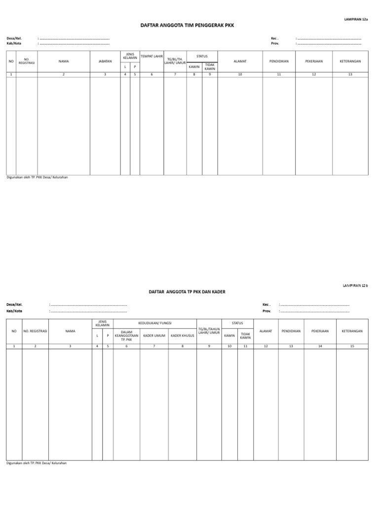 Format Data Umum PKK Terbaru | PDF