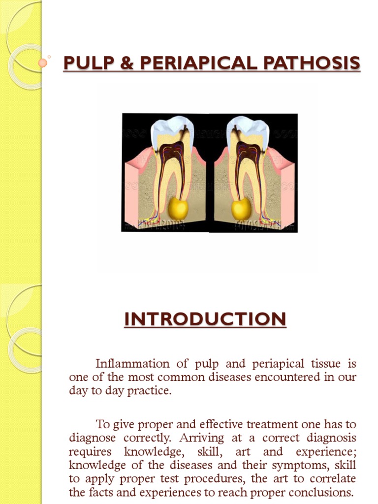 Pulpal And Periapical Pathology Pdf Periodontology Dentistry