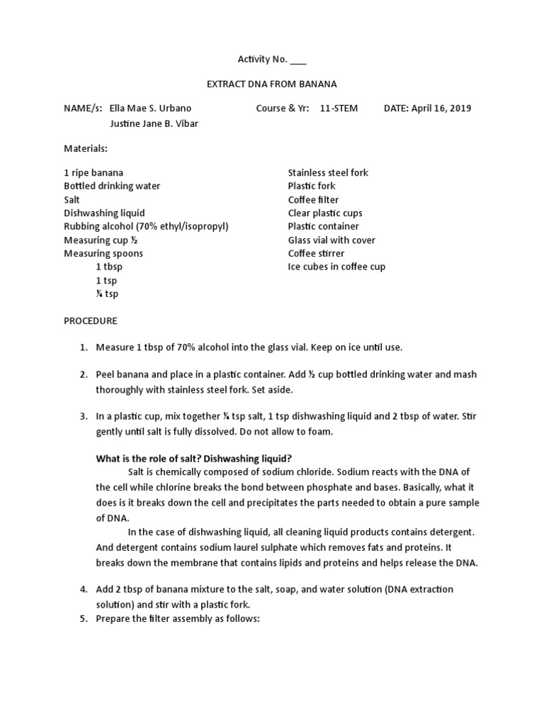 Dna Extraction Worksheet | PDF | Filtration | Sodium Chloride