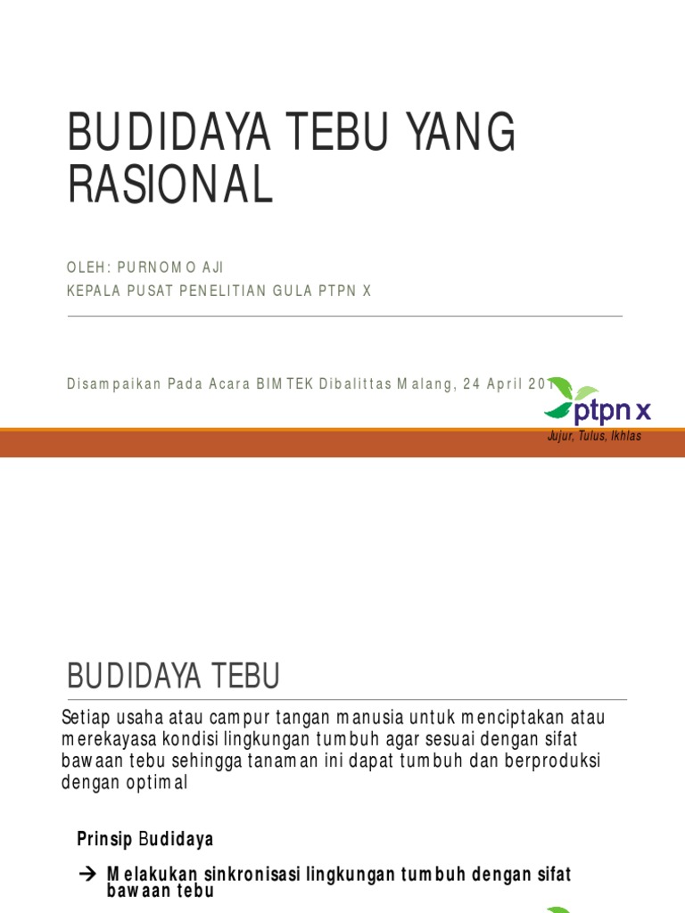 Budidaya Tebu | PDF