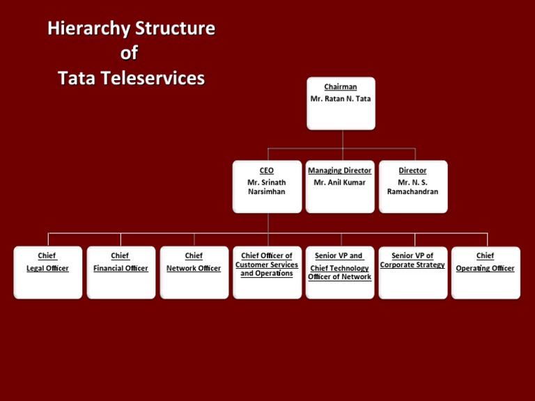Tata Hierarchy | PDF