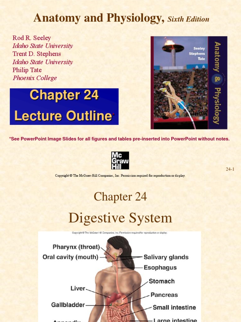 Anatomy and Physiology,: Lecture Outline | PDF | Stomach | Pancreas