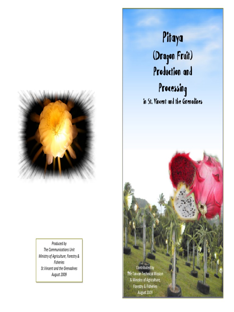 Pitaya Dragon Fruit Production and Processing PDF | PDF | Horticulture ...