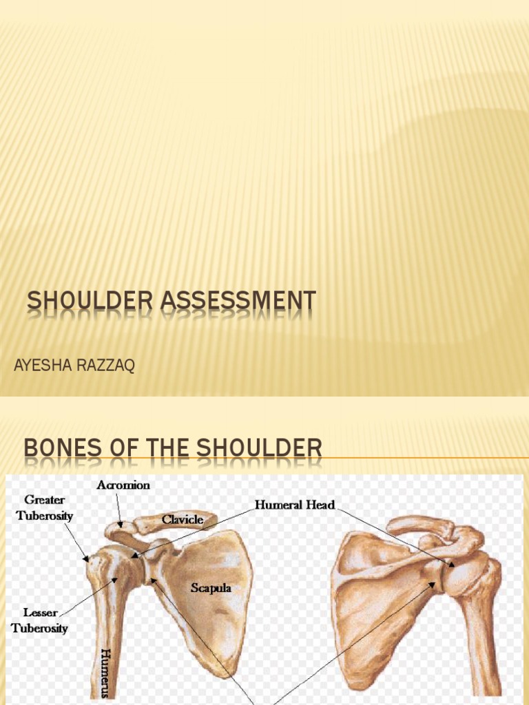 Shoulder Assessment: Ayesha Razzaq | PDF | Shoulder | Anatomical Terms ...