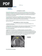 Anatomía del Paladar Primario y Secundario | PDF | Anatomía humana ...
